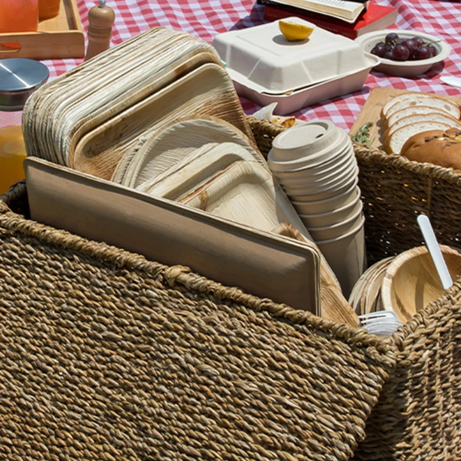 Top 5 Eco-Friendly Picks To Plan A Mess-Free Picnic – EcoSoul Home