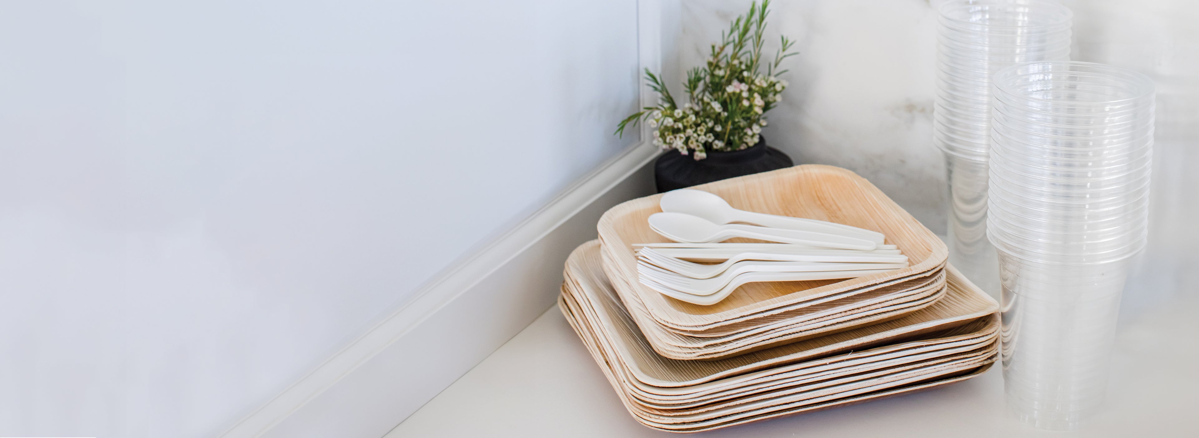 Eco-Friendly Tableware, Compost Bags, Kitchenware & More | EcoSoul ...