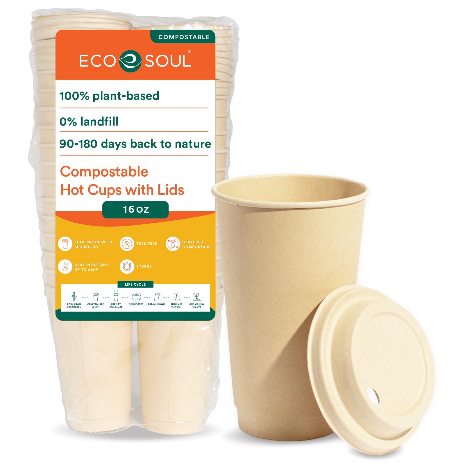 Buy Compostable Hot Coffee Cups with Lid 16oz – EcoSoul Home
